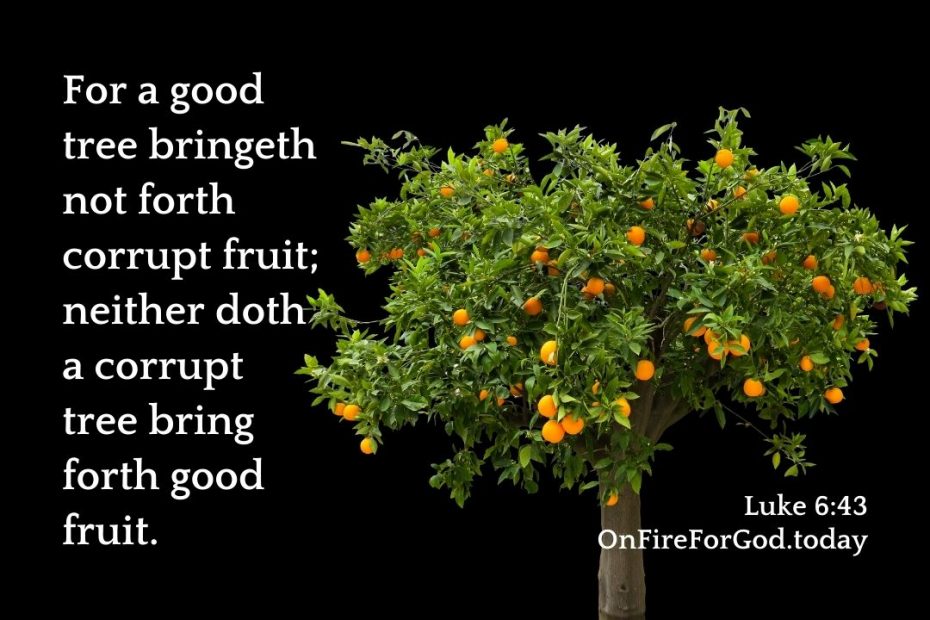 Faith, the Incorruptible Seed and Bearing Fruit | OnFireForGod.today