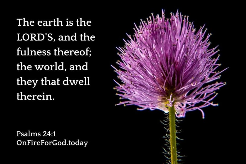 Verse Image of Psalms 24:1 — The Earth Is the Lord’s | OnFireForGod.today